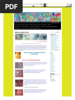 Morgellons A New Classification | PDF | Archaea | Life