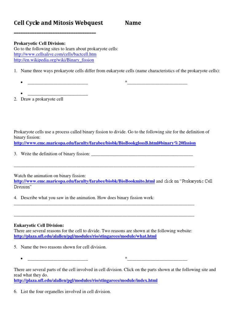 Cell Cycle and Mitosis Webquest Cells Alive | PDF | Science ...