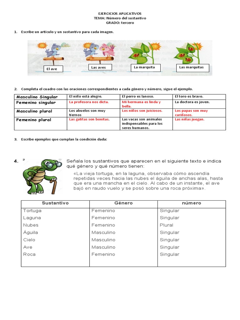 Ejercicios Aplicativos Genero y Número Del Sustantivo | PDF ...