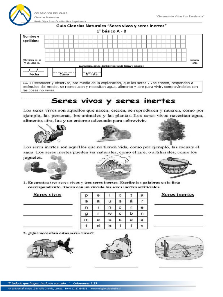 Guia Seres Vivos e Inertes, 1 | PDF