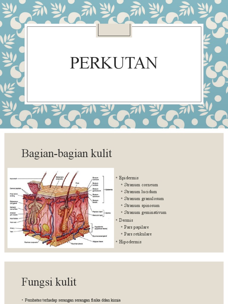 Perkutan | PDF