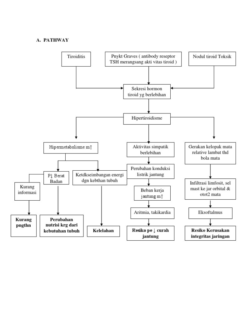 Pathway Hipertiroid | PDF