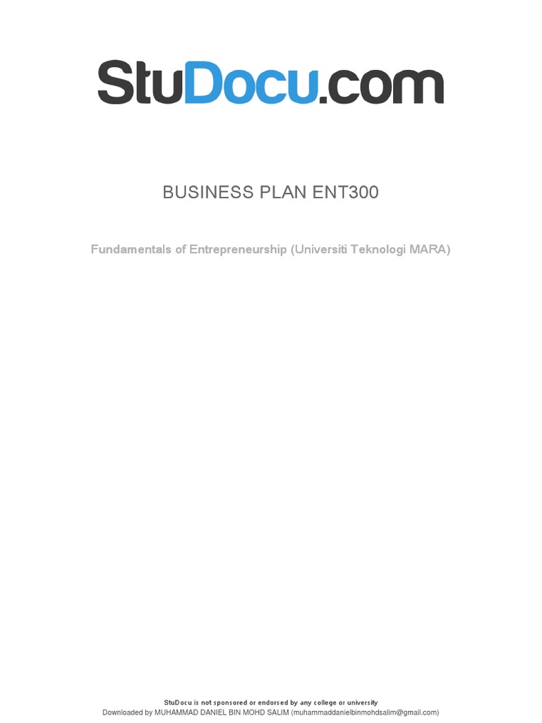 Business Plan Ent300 | PDF | Marketing | Business Economics