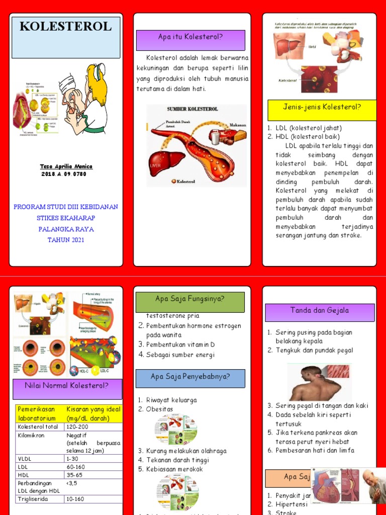 Leaflet Kolestrol | PDF