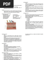 EURD List and PSUR Submission Dates | PDF | Acid | Drugs