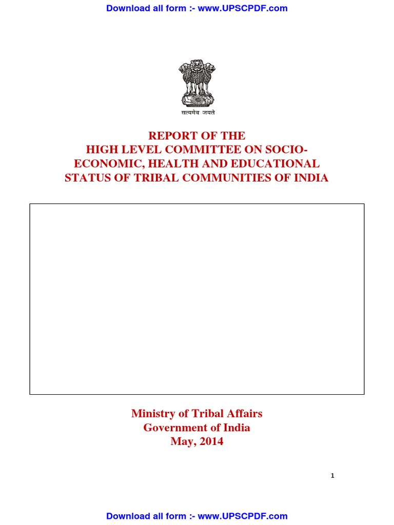 Xaxa Report | PDF | Household | Employment