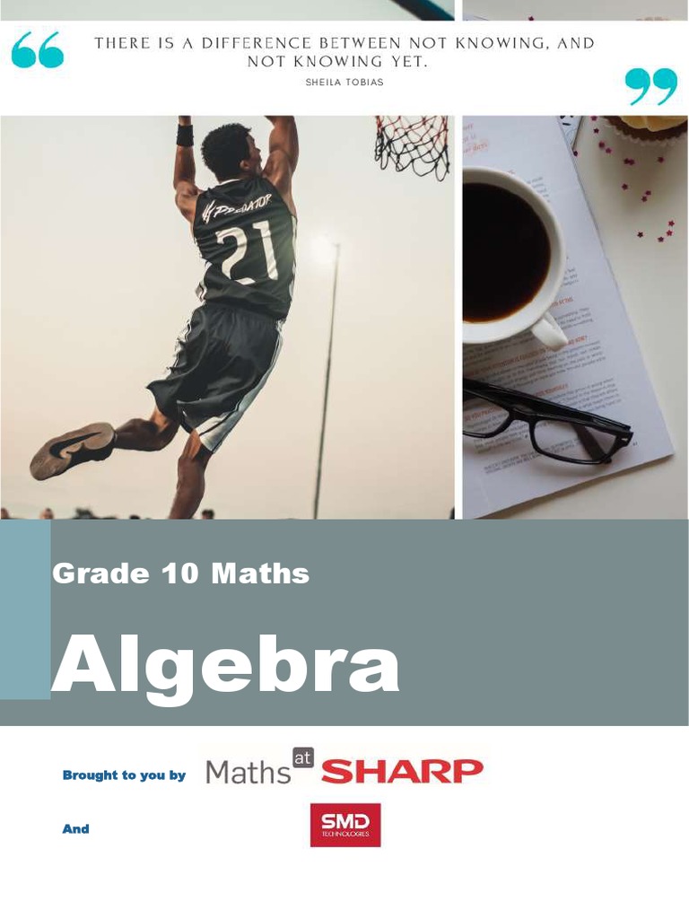 Algebra: Grade 10 Maths | PDF | Numbers | Rational Number