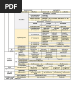 Sanford Antibiotic Spectrum Guide | PDF | Streptococcus ...