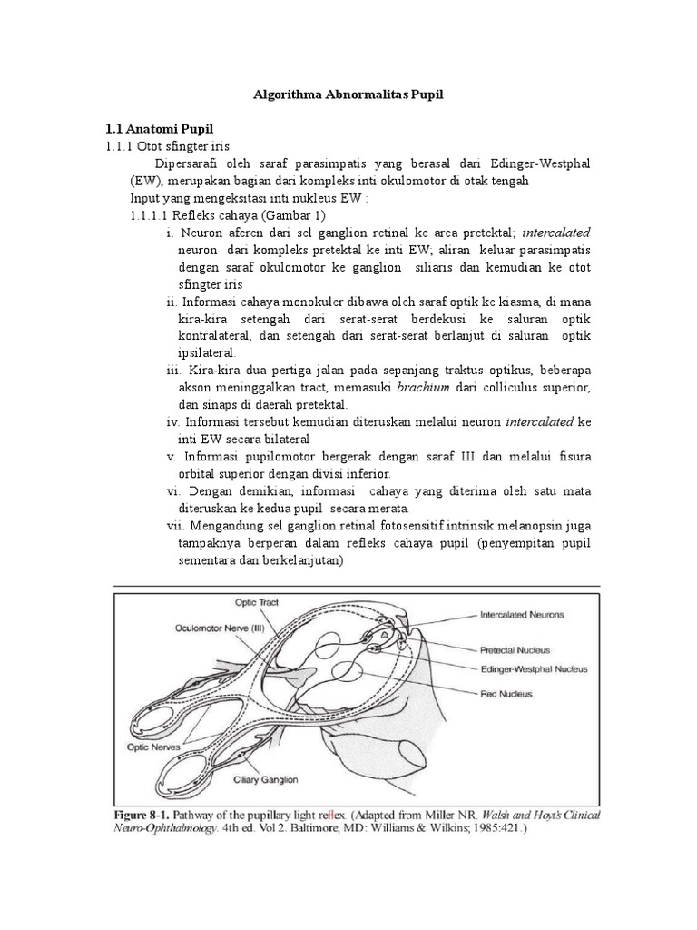 Algorithma Abnormalitas Pupil | PDF | Sains & Matematika