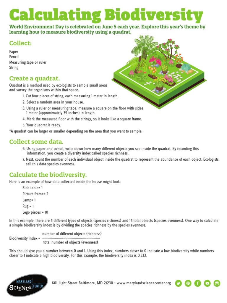 Calculating Biodiversity | PDF | Biodiversity | Species
