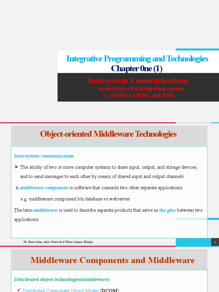 Integrative Programming and Technologies: Intersystem Communications ...