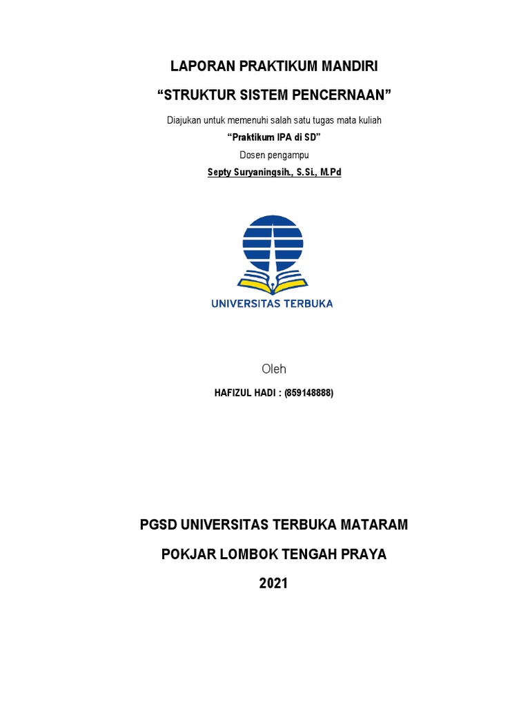 KP 3 Pencernaan | PDF