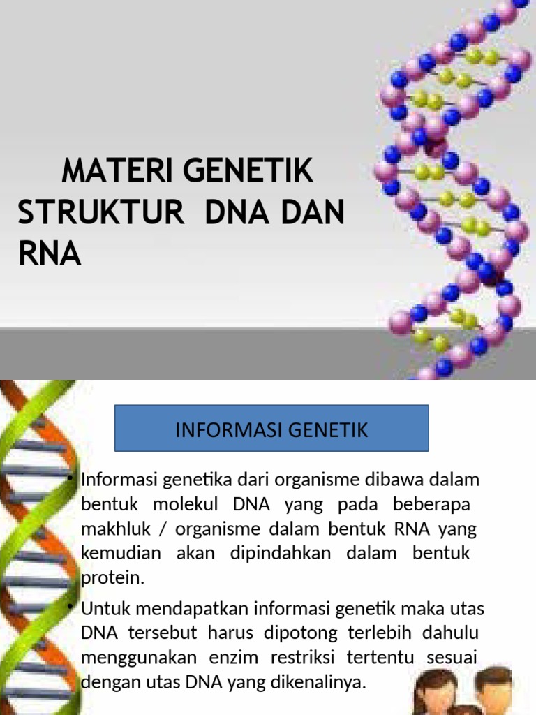Struktur dan Fungsi Materi Genetik | PDF