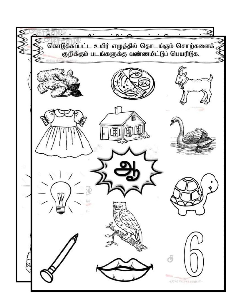 Year 1 Exercise | PDF