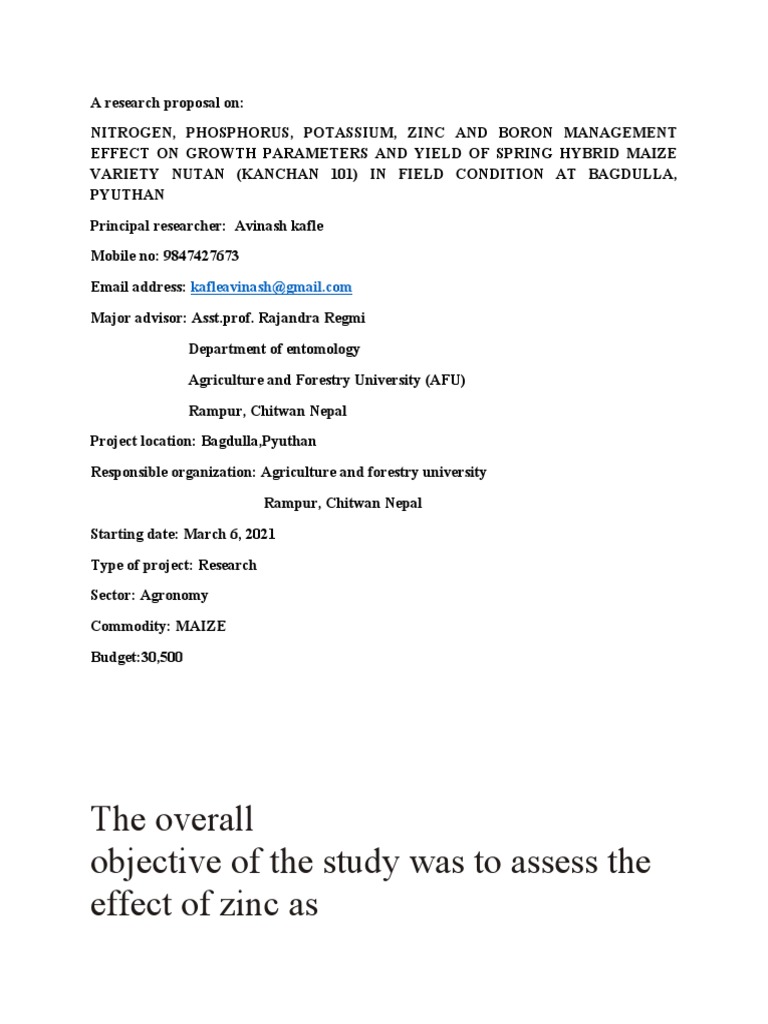 Maize Proposal | PDF | Micronutrient | Maize
