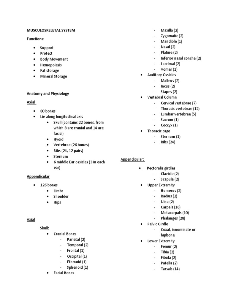 Musculoskeletal System | PDF | Bone | Anatomy