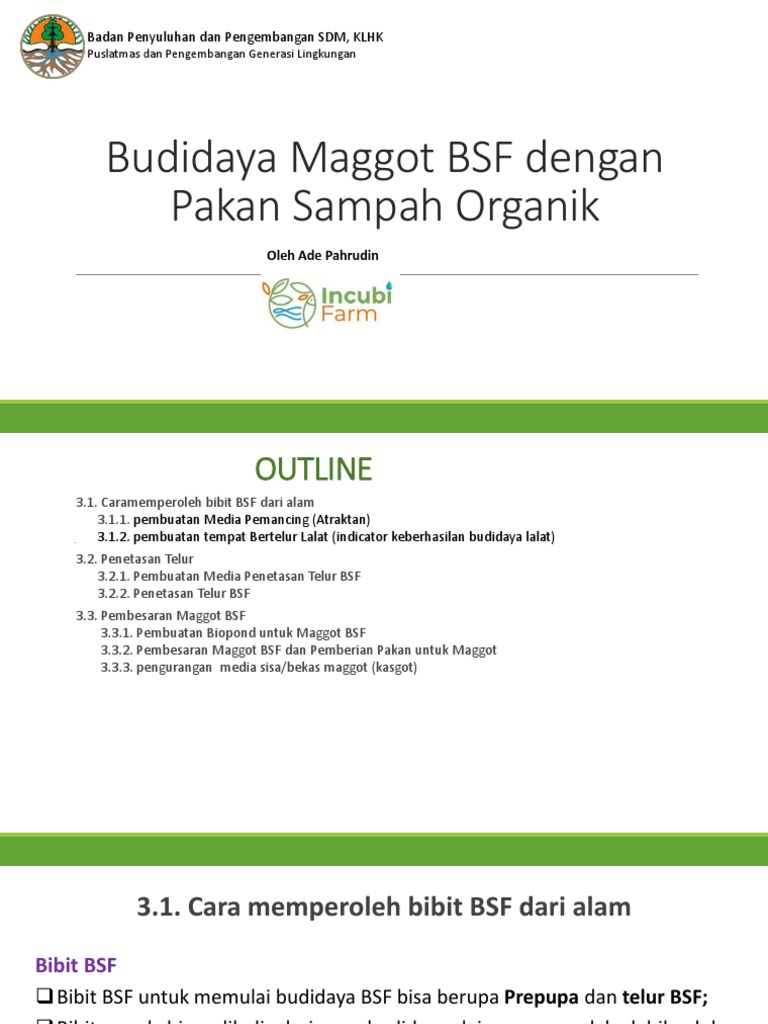 BUDAYA MAGGOT BSF | PDF