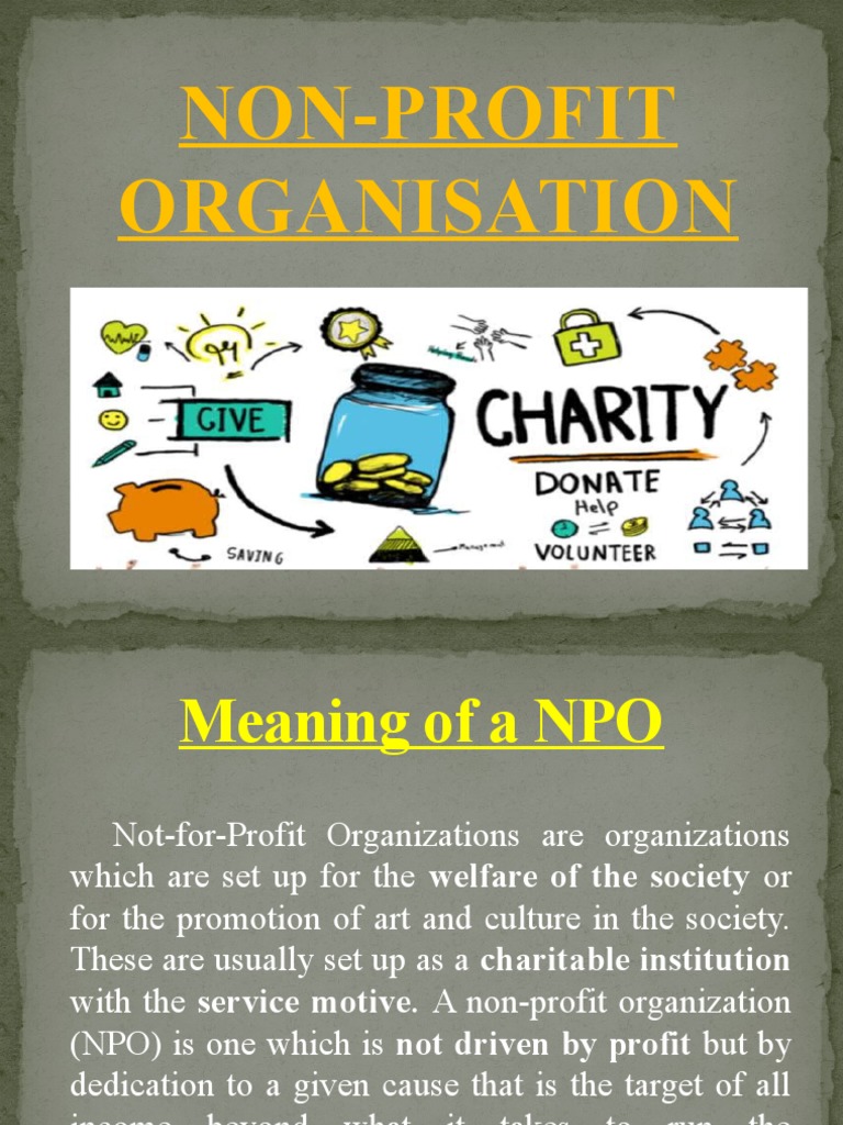 Non Profit Organisation | Download Free PDF | Nonprofit Organization ...