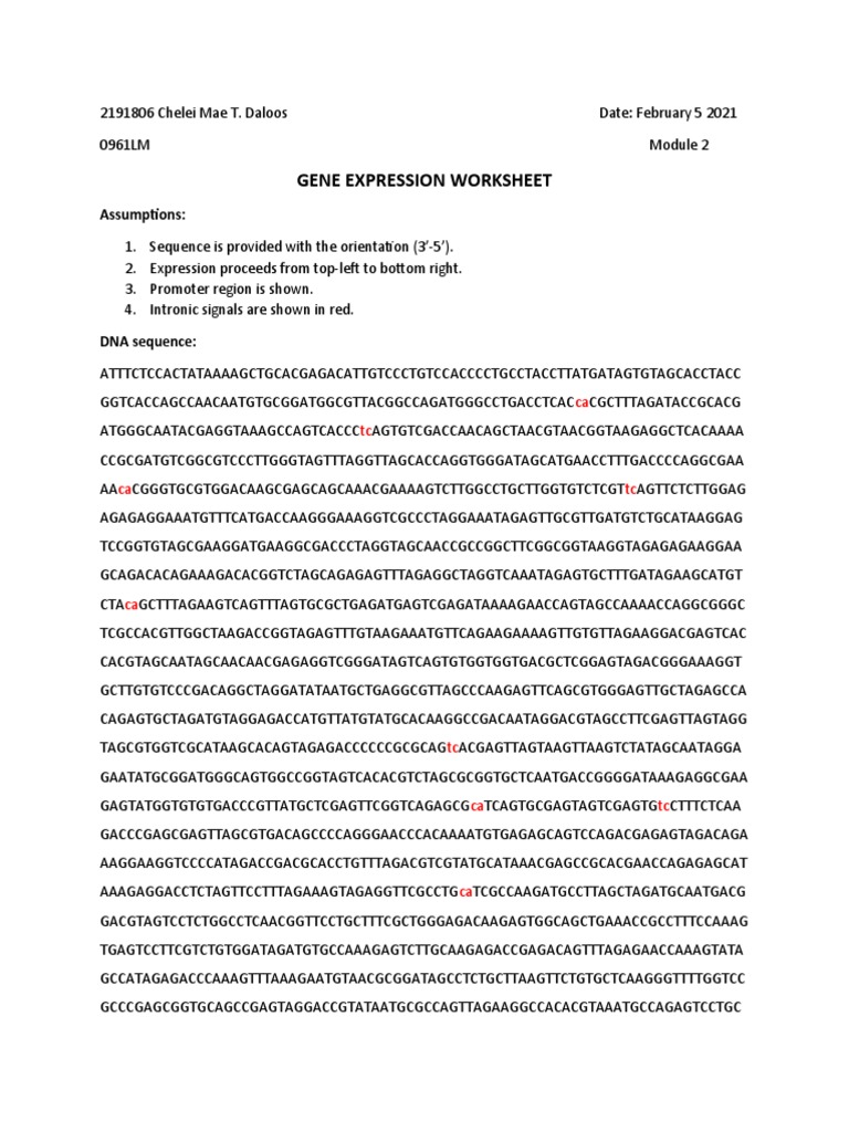 Gene Expression Self-Made Worksheet | PDF | Biochemistry | Chemistry