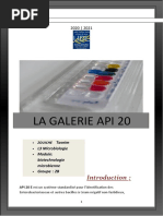 TP Bactériologie Galerie API | PDF | Microbiologie | Bactérie