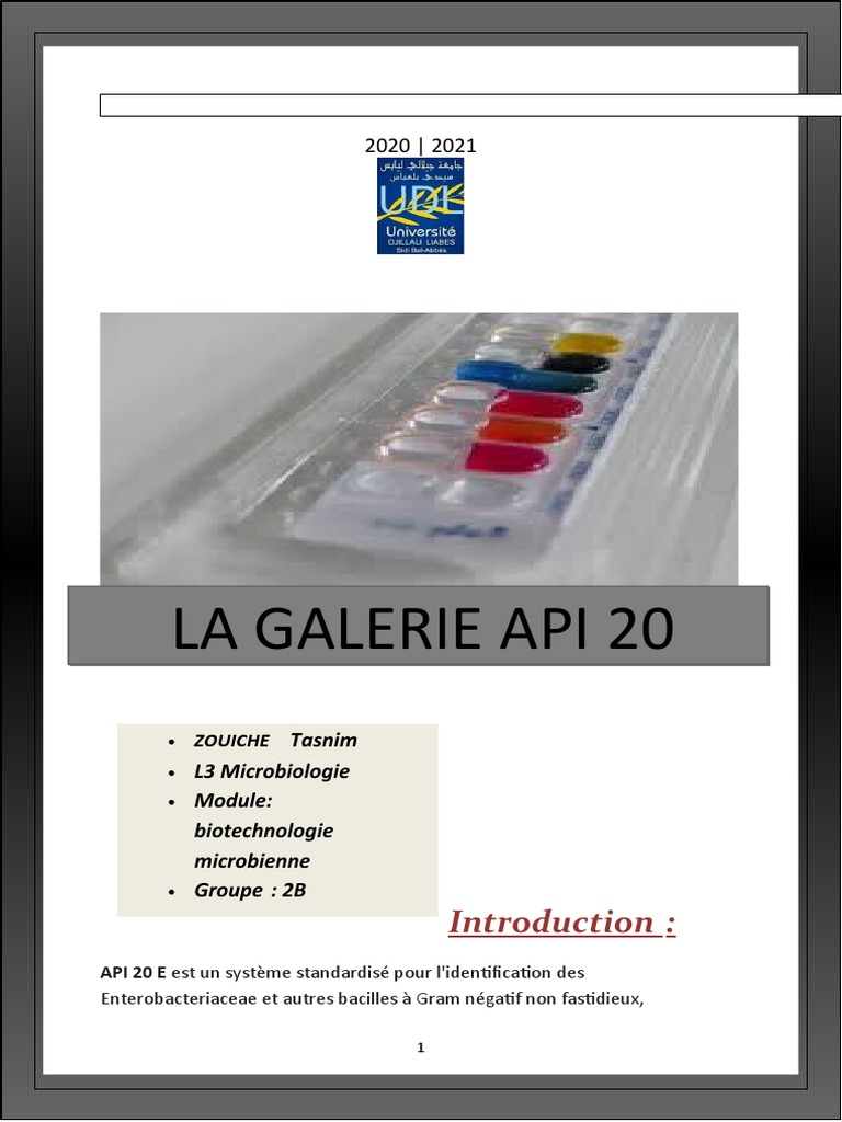 Identification avec la galerie API 20E | PDF | Micro-organisme ...