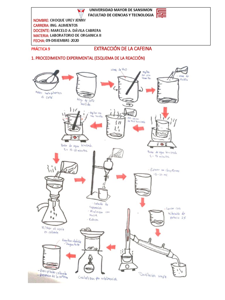 P 9 Extracción De La Cafeina Pdf ácido Sulfúrico ácido