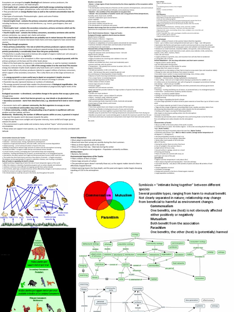 Ecology Cheat Sheet | PDF | Food Web | Ecosystem