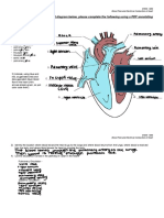 Diastolic Assessment ASE Guidelines | PDF | Diastole | Echocardiography