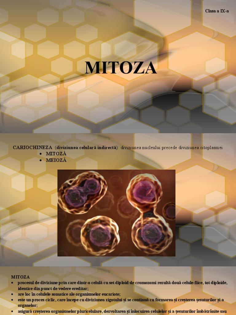 MITOZA | PDF