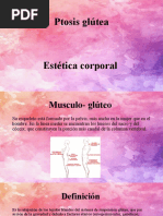 Tipos y Tratamientos de Flacidez | PDF | Piel | Tejido adiposo