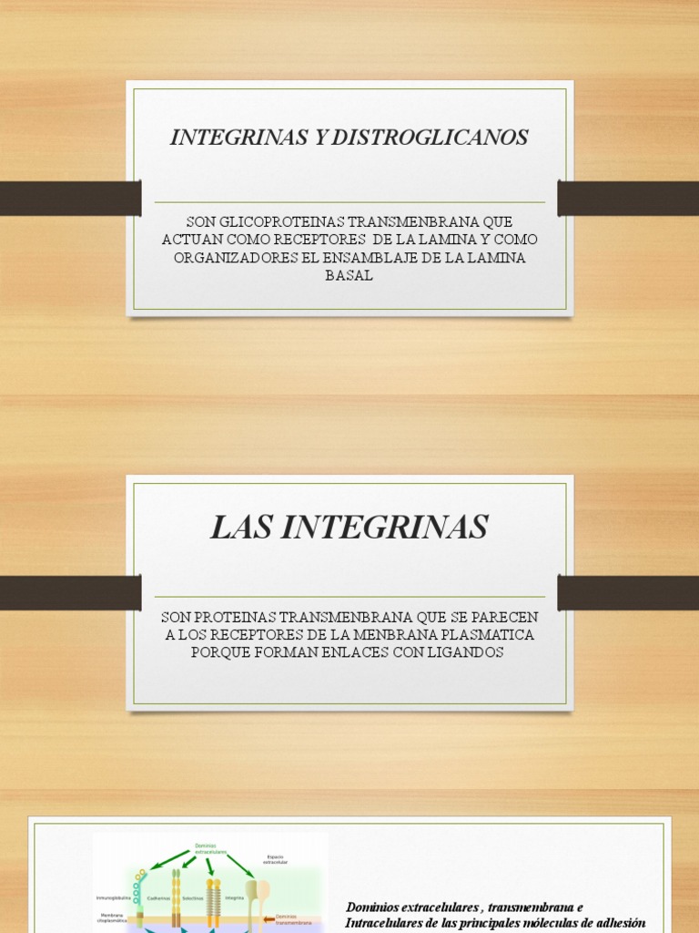 Integrinas y Distroglicanos | PDF | Hogar y jardín | Ciencia y matemática