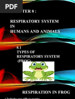 Respiratory System of Frog | PDF | Cellular Respiration | Larynx