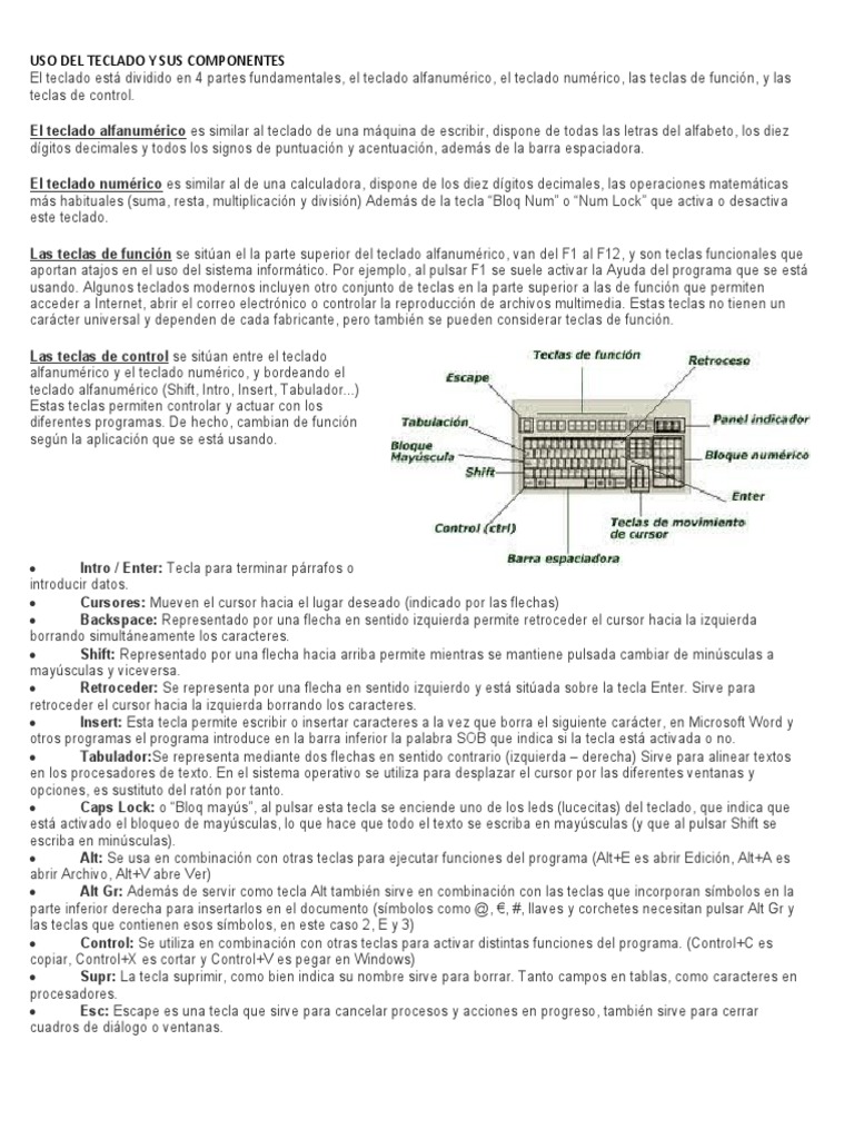 Uso Del Teclado y Sus Componentes | PDF | Teclado | Archivo de computadora