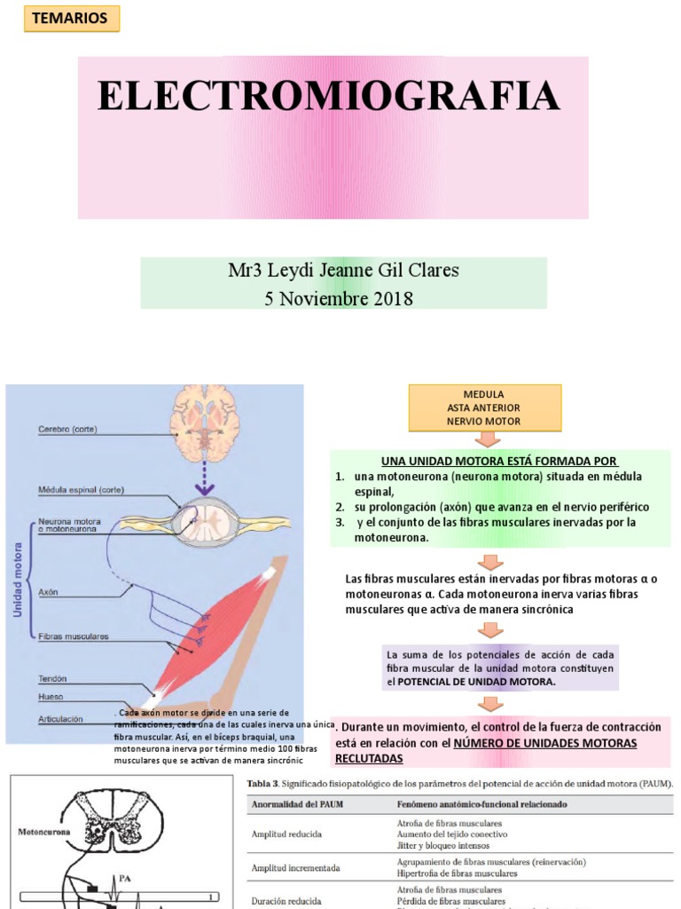 Electromiografía | Descargar gratis PDF | Electromiografia | Neurona motora