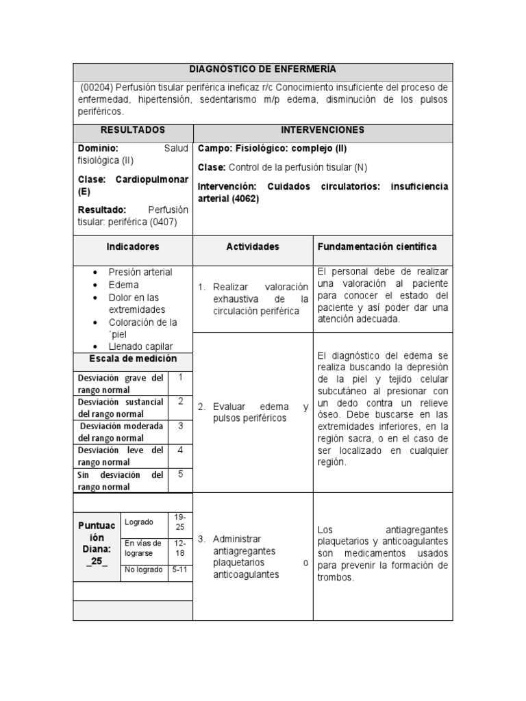 (00204) Perfusión Tisular Periférica Ineficaz | PDF | Edema | Dolor