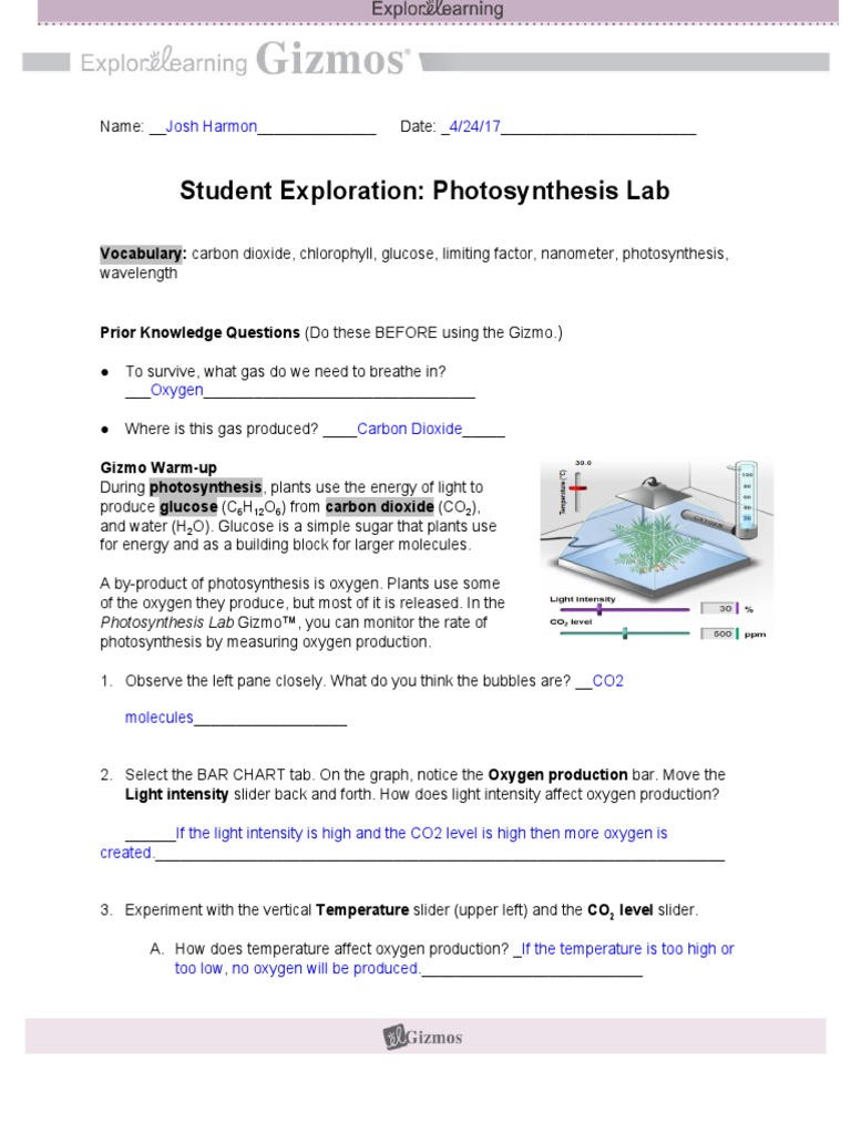 Student Exploration: Photosynthesis Lab: Josh Harmon 4/24/17 | PDF ...