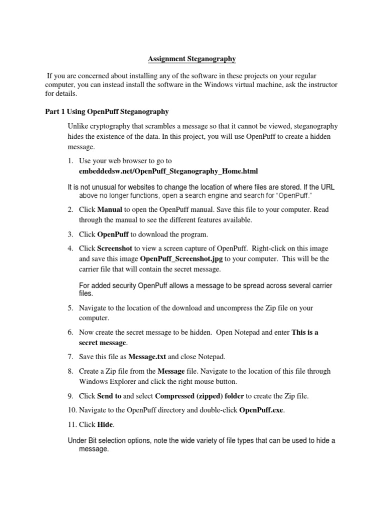 OpenPuff Steganography Assignment Guide | PDF | Computer File | Zip ...