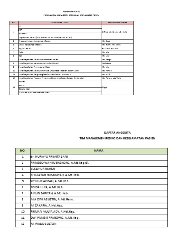 Anggota Tim Dan Pembagian Tugas | PDF