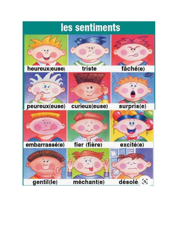 Les Sentiments en Images Sup A1 (5028) | PDF