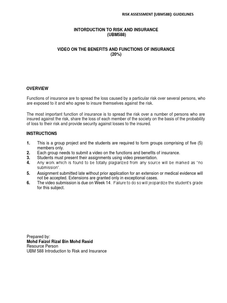 Risk Assessment Guidelines & Insurance Functions | PDF