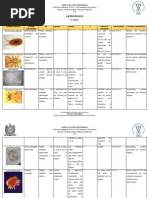 Esquema Materiales TEI | PDF