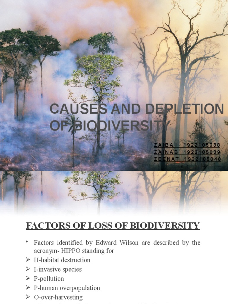 Causes and Depletion of Biodiversity | PDF | Habitat Destruction ...