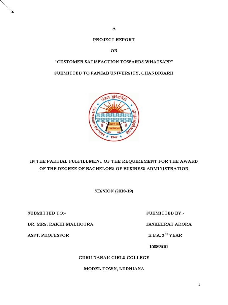 Bba Project | PDF | Mobile App | Smartphone