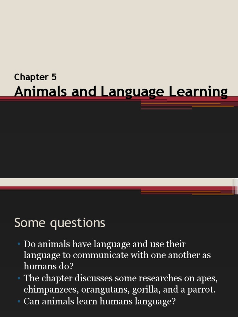 Topic 4 Animals and Language Learning | PDF | Chimpanzee | Zoology