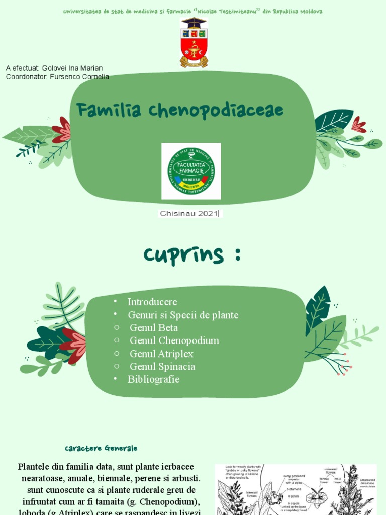 Familia Chenopodiaceae | PDF
