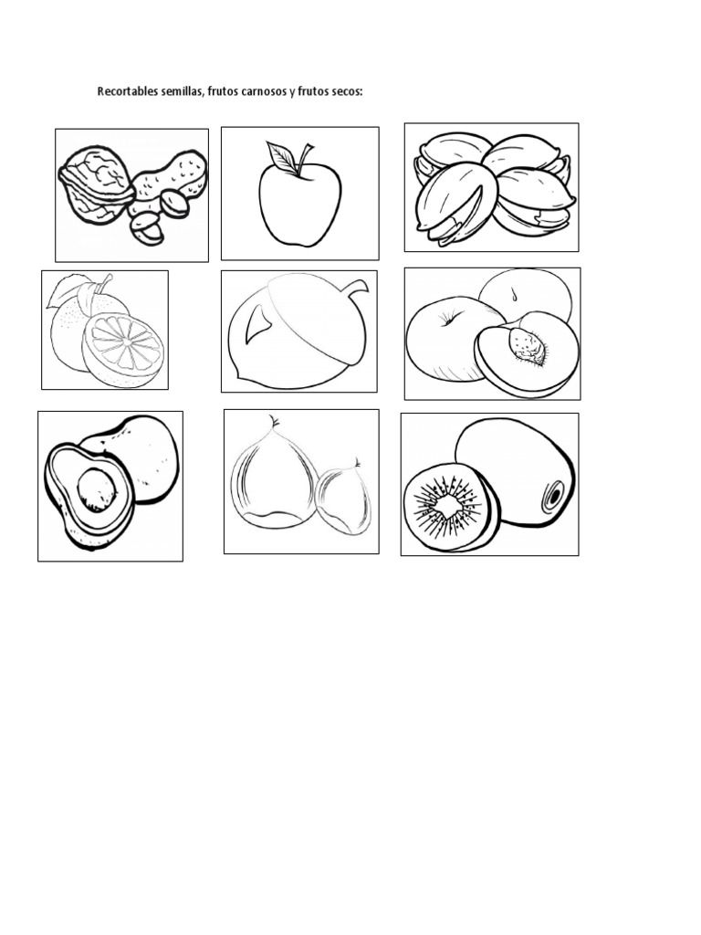 Recortables Frutos Secos y Carnosos | PDF
