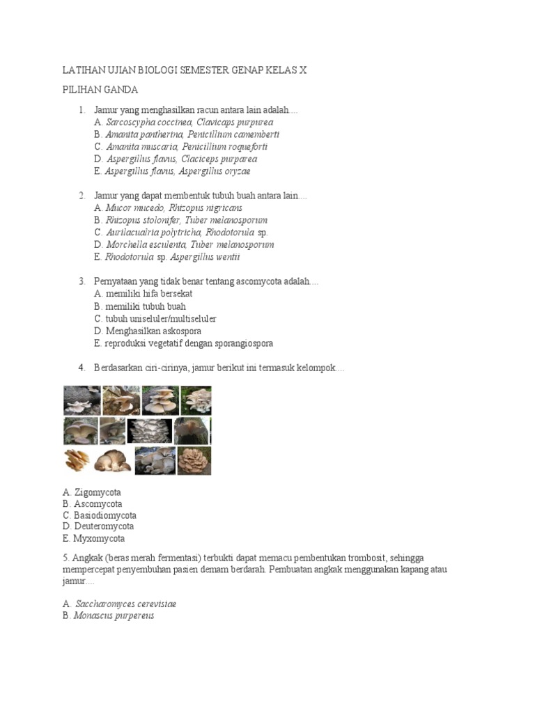 Latihan Ujian Biologi Semester Genap Kelas X | PDF
