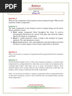 Class 10 Science Life Processes Worksheet | PDF