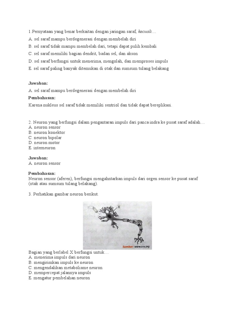 Pembahasan Soal Koordinasi | PDF