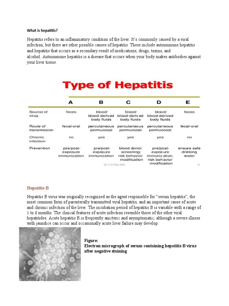 Hepatitis B | PDF | Hepatitis | Hepatitis B